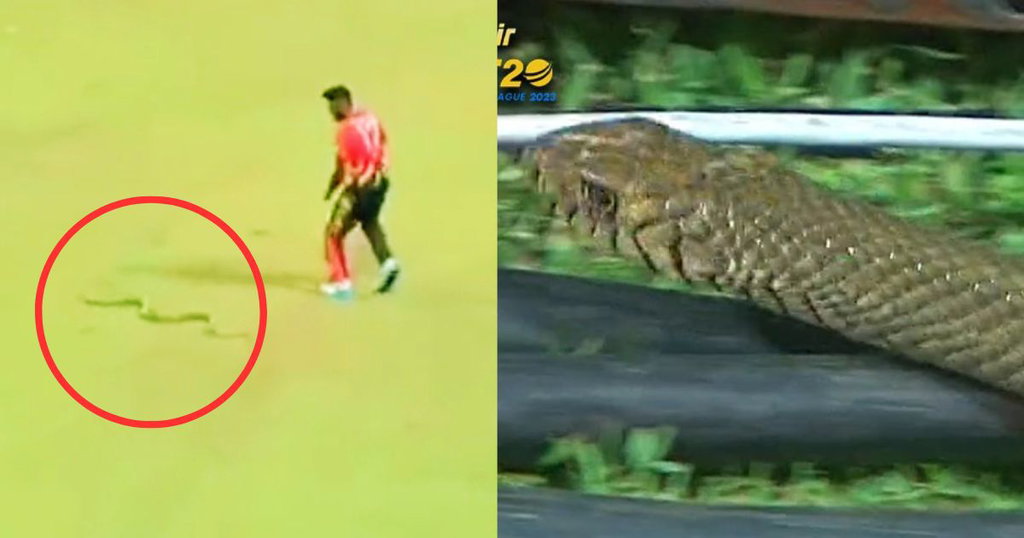 LPL 2023: WATCH: Isuru Udana Escapes A Deadly Encounter With Snake ...